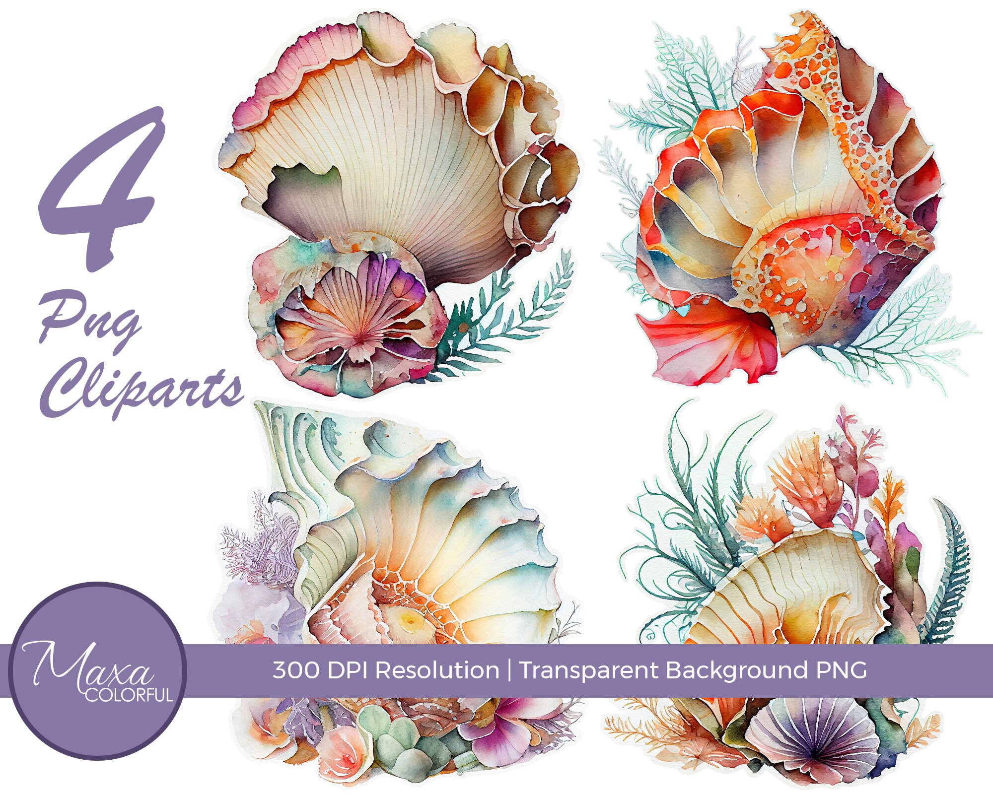 Watercolor Ocean Seashells Clipart Png. Digital Watercolor. Nautical ...