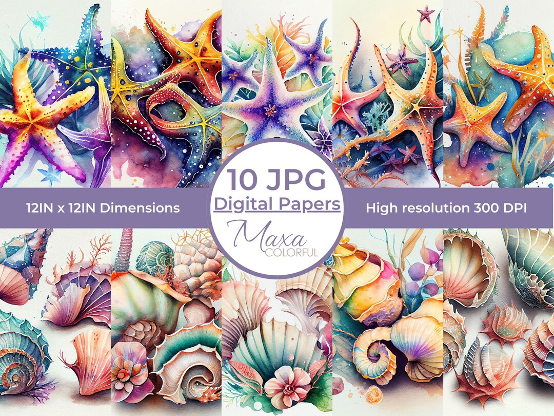 Watercolor Seashell Starfish Digital Paper Scrapbook Bundle. - Etsy
