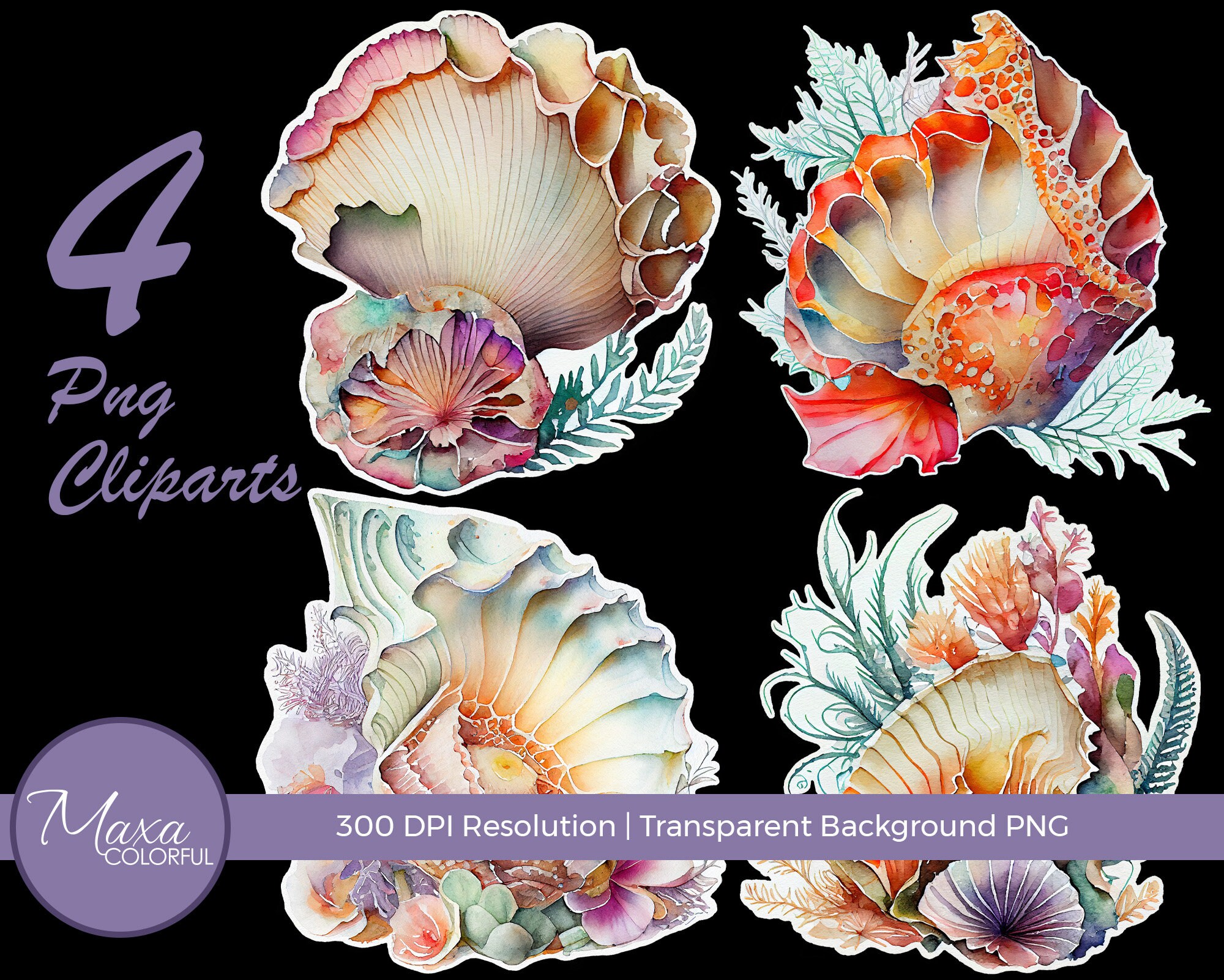 Watercolor Ocean Seashells Clipart Png. Digital Watercolor. Nautical ...