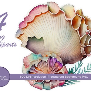 Watercolor Ocean Seashells Clipart Png. Digital Watercolor. Nautical ...