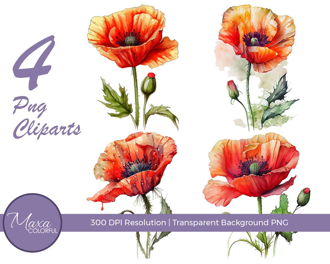 Watercolor Poppy Flowers Clipart. Digital Watercolor. Floral Pastel ...
