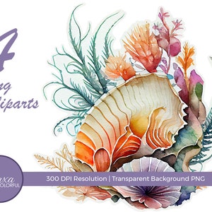 Watercolor Ocean Seashells Clipart Png. Digital Watercolor. Nautical ...