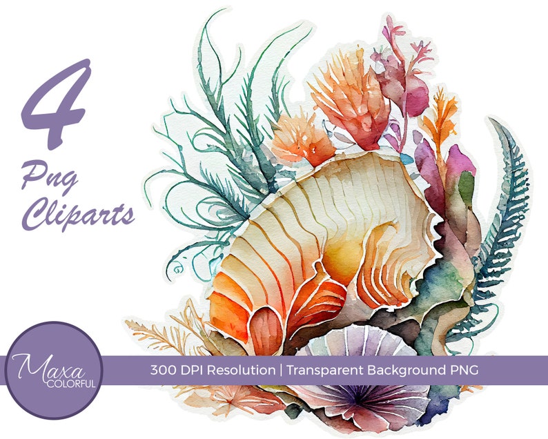 Watercolor Ocean Seashells Clipart Png. Digital Watercolor. Nautical ...