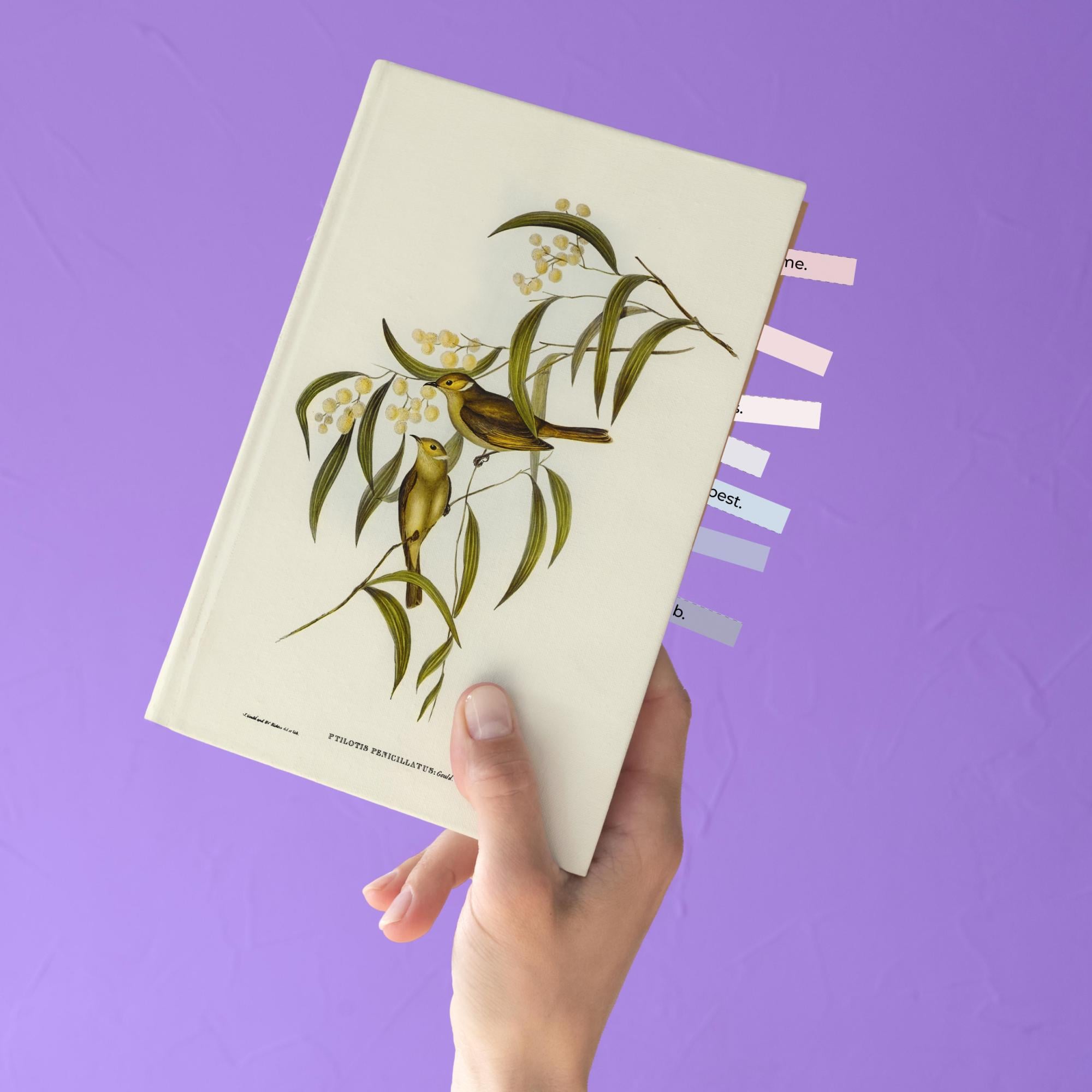 100 Empowering Affirmations for Navigating Job Loss | Affirmations for ...