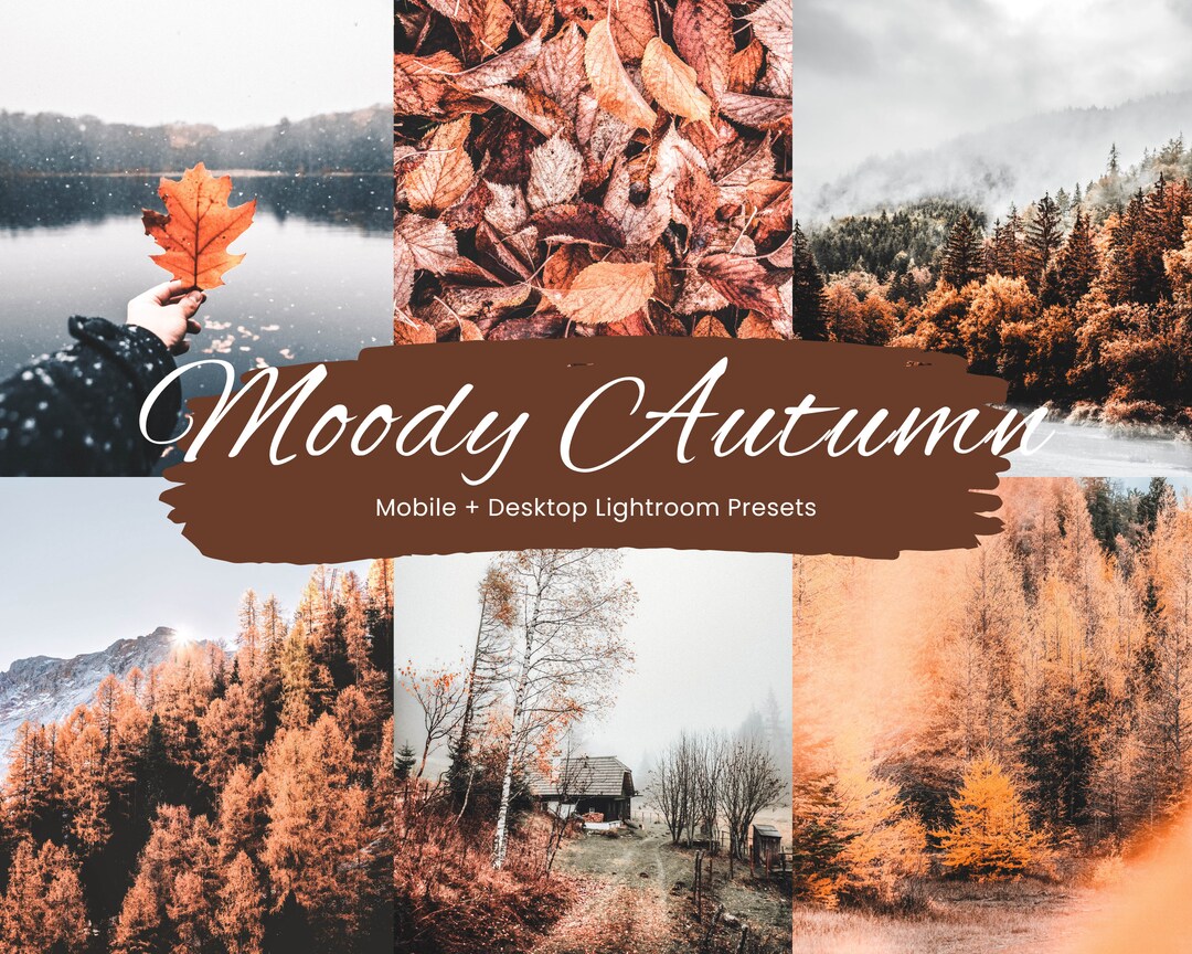 10 Moody Autumn Presets, Cinematic Fall Presets, Landscape Presets ...