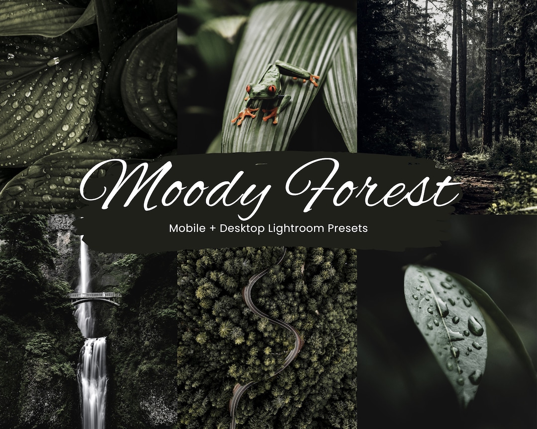 10 Moody Forest Lightroom Presets, Moody Nature Presets, Forest Presets ...