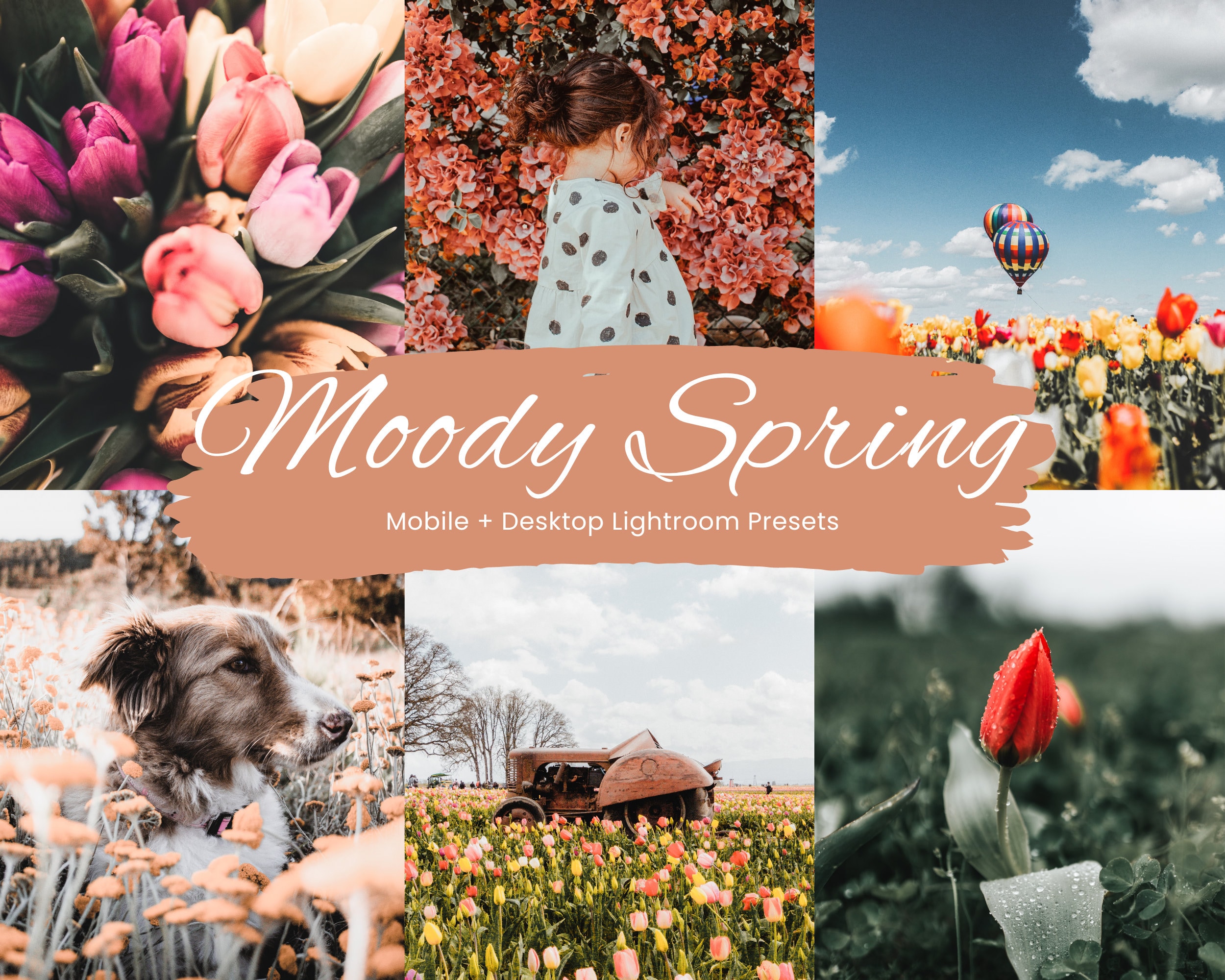 10 Moody Spring Lightroom Presets, Cinematic Spring Presets, Moody ...