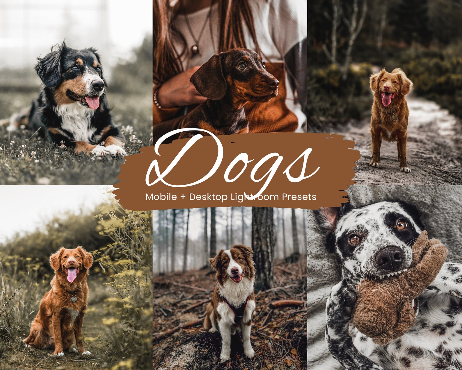50+ Pets Lightroom Presets Bundle, Dog Presets, Cat Presets, Mobile ...