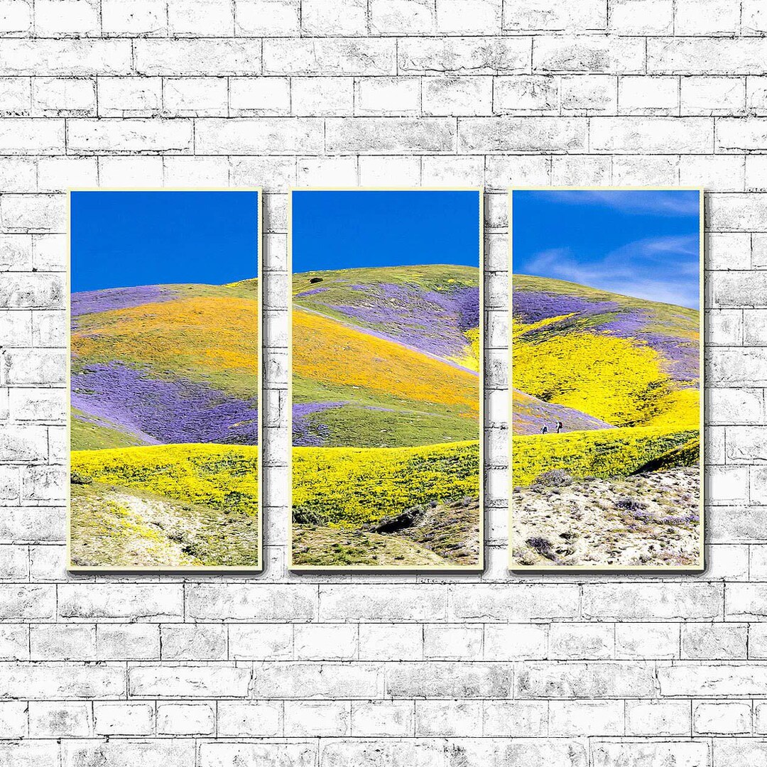 Carrizo Plain National Monument - Multi-paneled Prints, Choose Number ...