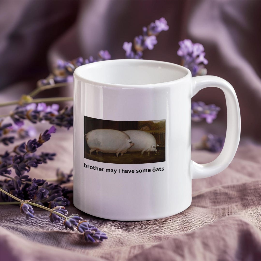 Brother May I Have Some Oats, 11oz Ceramic Mug, Pig Meme Mug, Funny ...