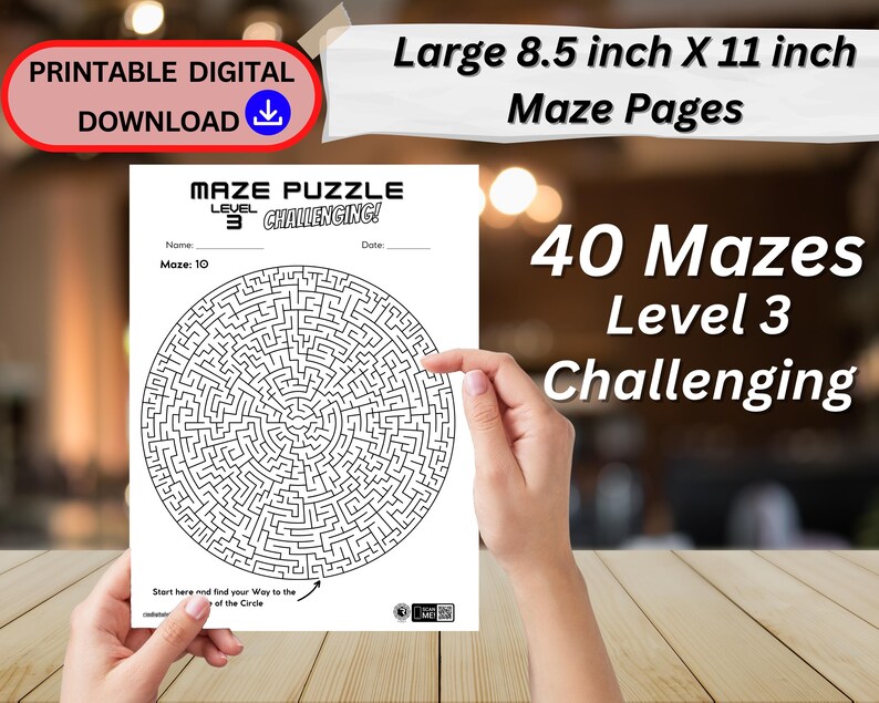 Maze Puzzle Book With Challenging Level 3 Mazes Book for Adult and ...