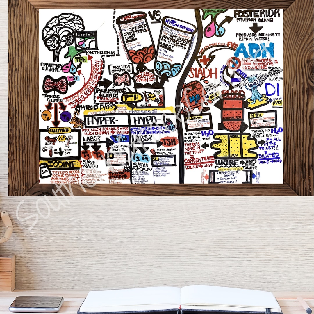 NCLEX Thyroid Cheat Sheet, Thyroid Disorders, Pituitary Disorders - Etsy