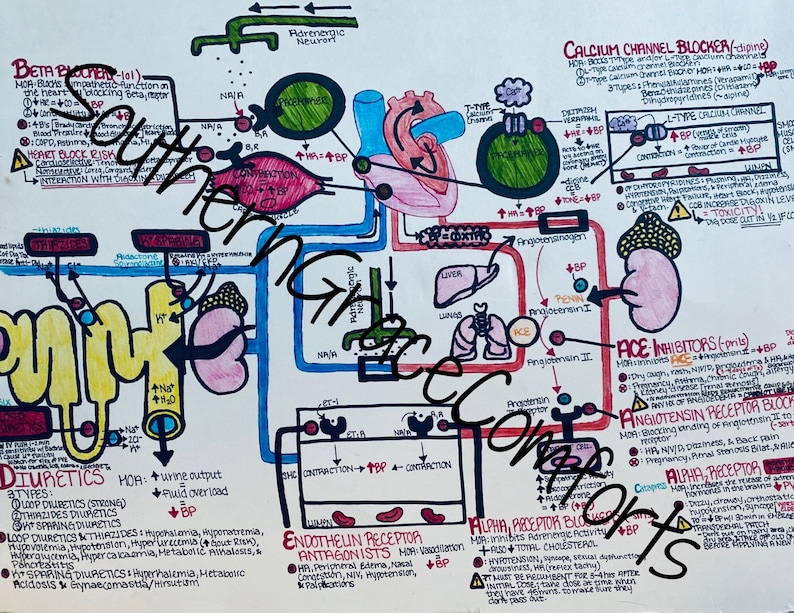 NCLEX Diuretic Cheat Sheet; Nursing School; Study Chart; Medication ...