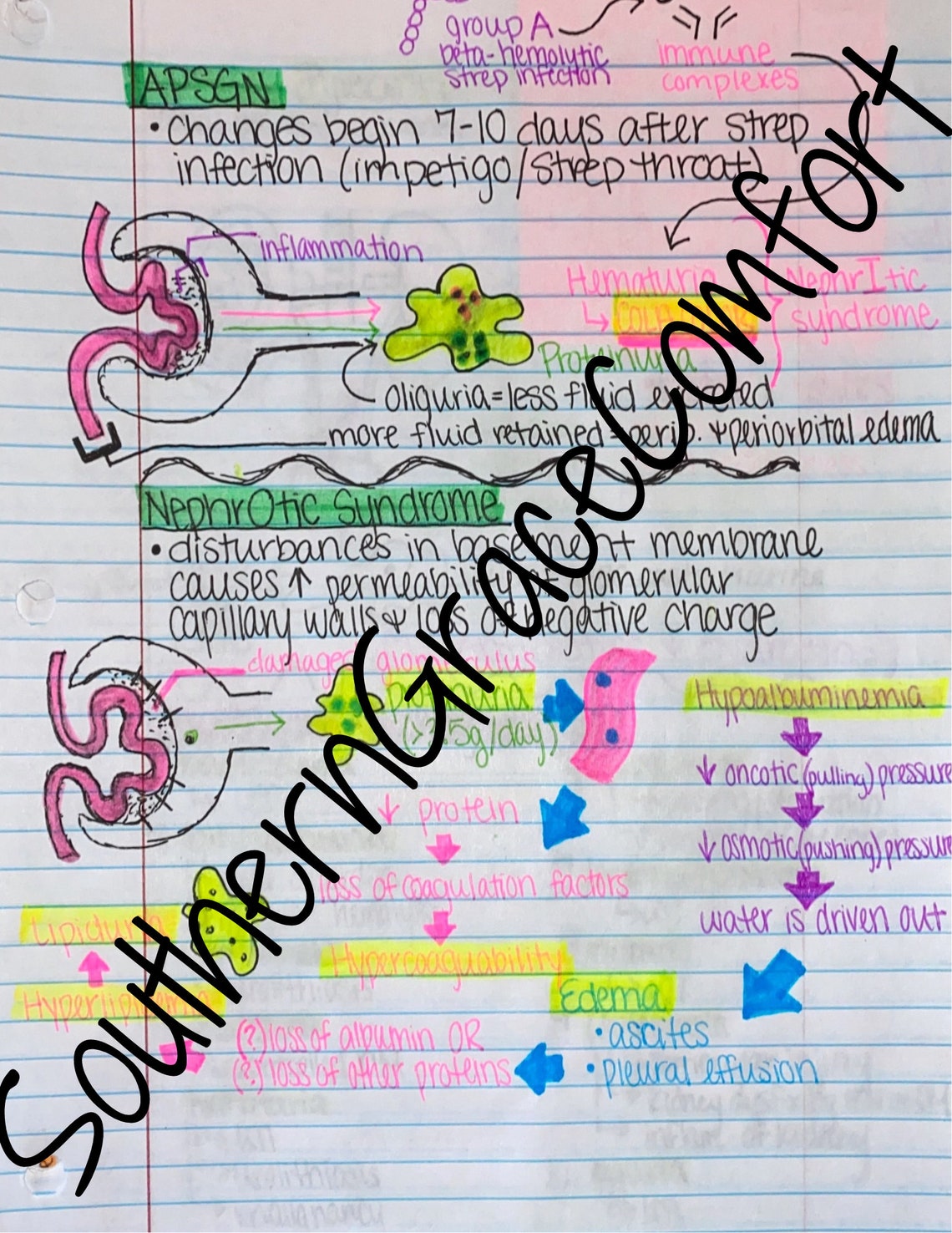 Nursing Cheat Sheets, 15 RENAL CHEAT SHEETS, Patho Flowcharts, Med-surg ...