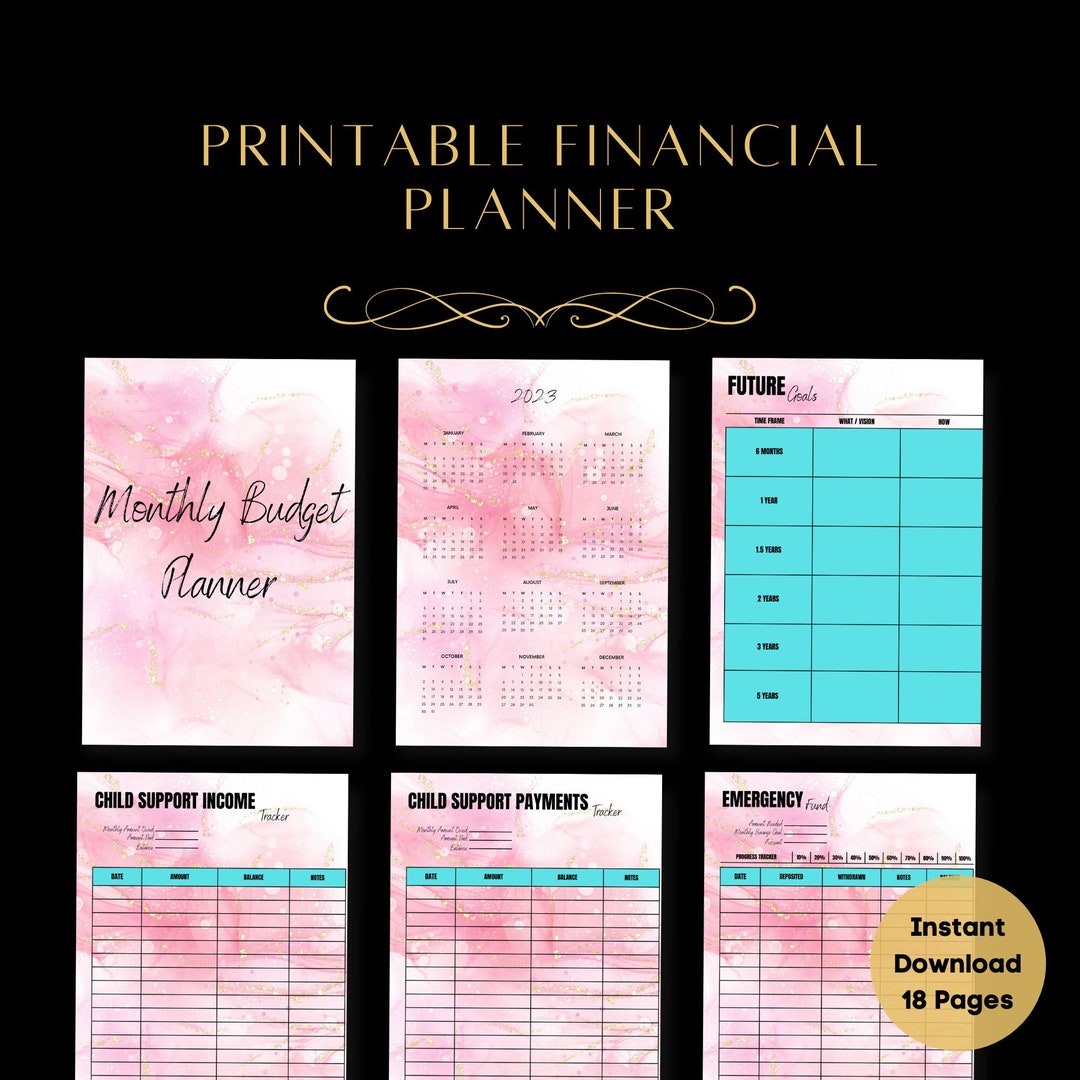 Pink Financial Budget Printable Planner, Expense/debt/password Tracker ...