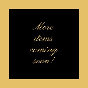 Blue Financial Budget Printable Planner Add on Pages for Bank/credit Card Account Tracking ...