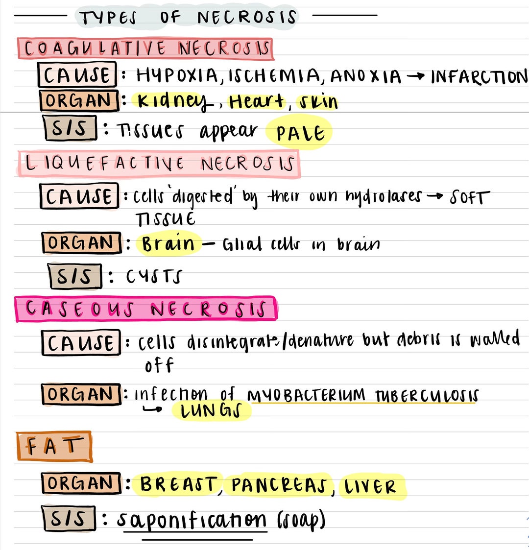 Pathology Necrosis and Gangrenous Necrosis - Etsy