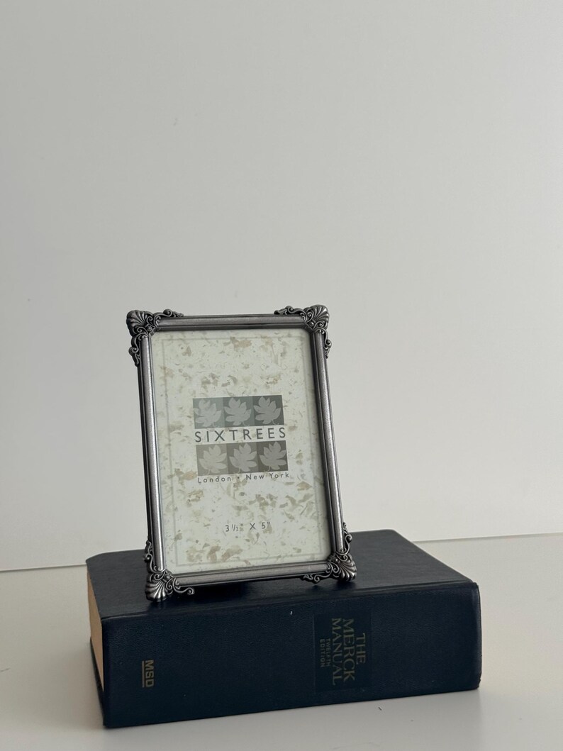 Vintage Silver Toned Sixtrees Picture Frame 3 1/2 X 5 | Antqiue Shelf ...