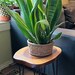 Monkey Pod Wood Side Table - Etsy