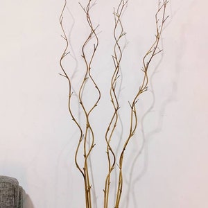 Curly Bamboo Stakes, Black and Natural Yellow, 72" - 78"h X 3/8 ...