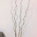 Curly Bamboo Stakes, Black and Natural Yellow, 72" - 78"h X 3/8 ...