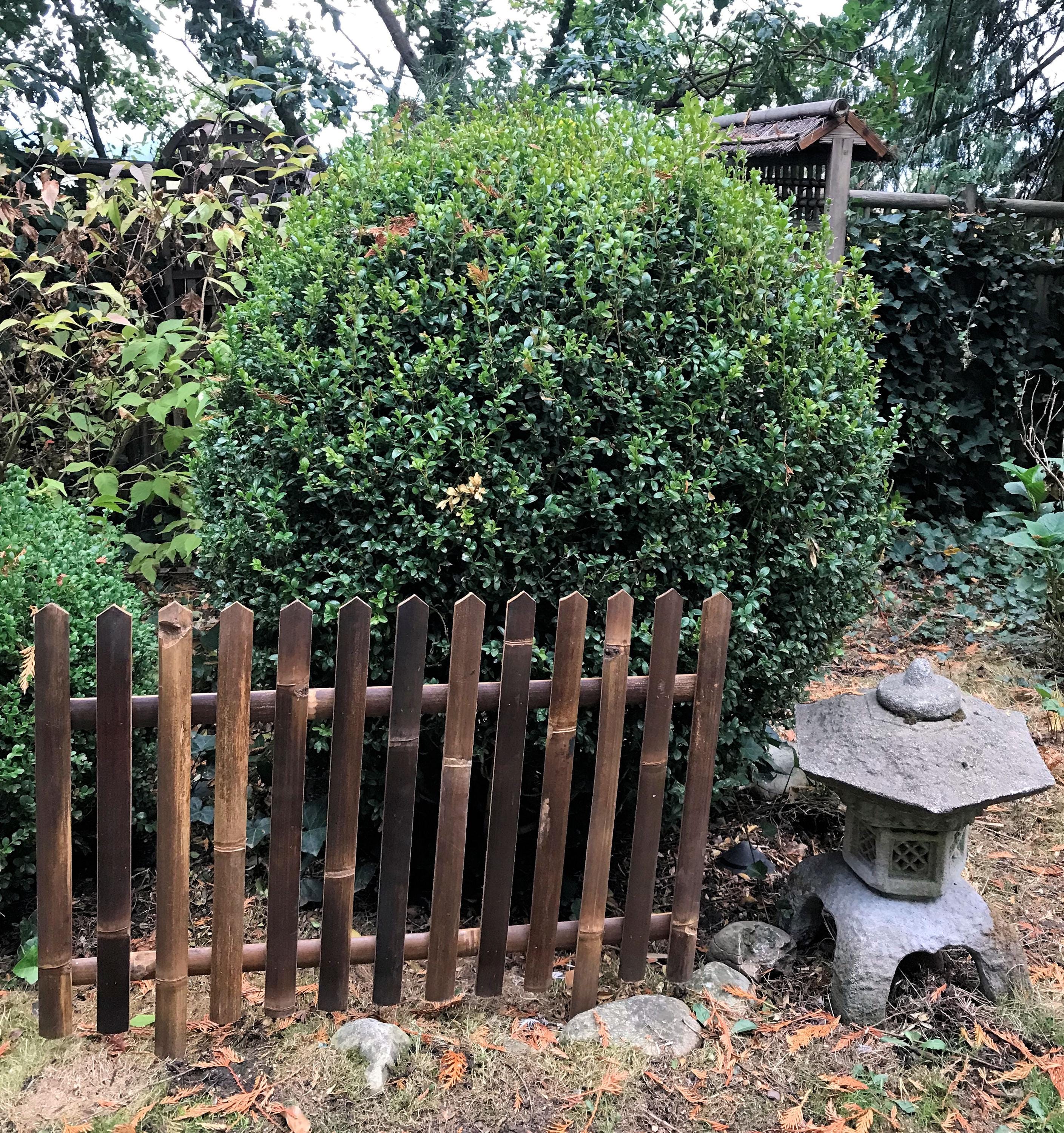 Bamboo Picket Edging Border - Etsy