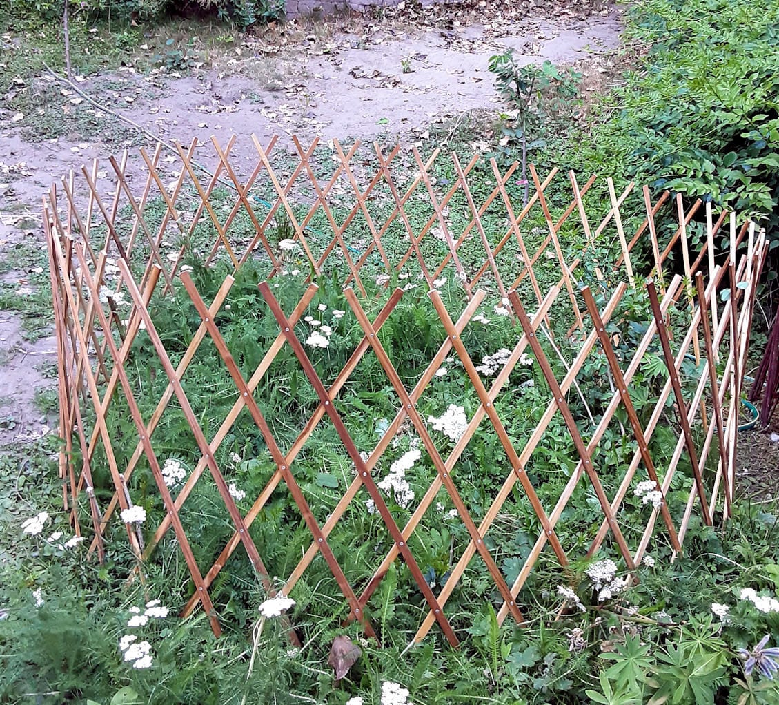 Teak Wood Circular Trellis Fence - Etsy