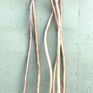 Debarked Driftwood Style Teak Log Pole - Etsy