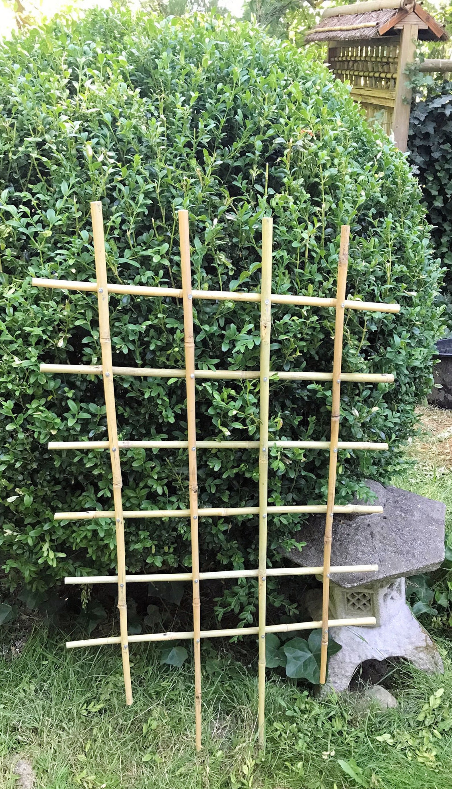 Bamboo Espalier Trellis - Etsy