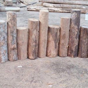 Teak Log Wood Edging, Debarked or Bark On - Etsy