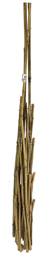 Bamboo Teepee Plant Support - Etsy