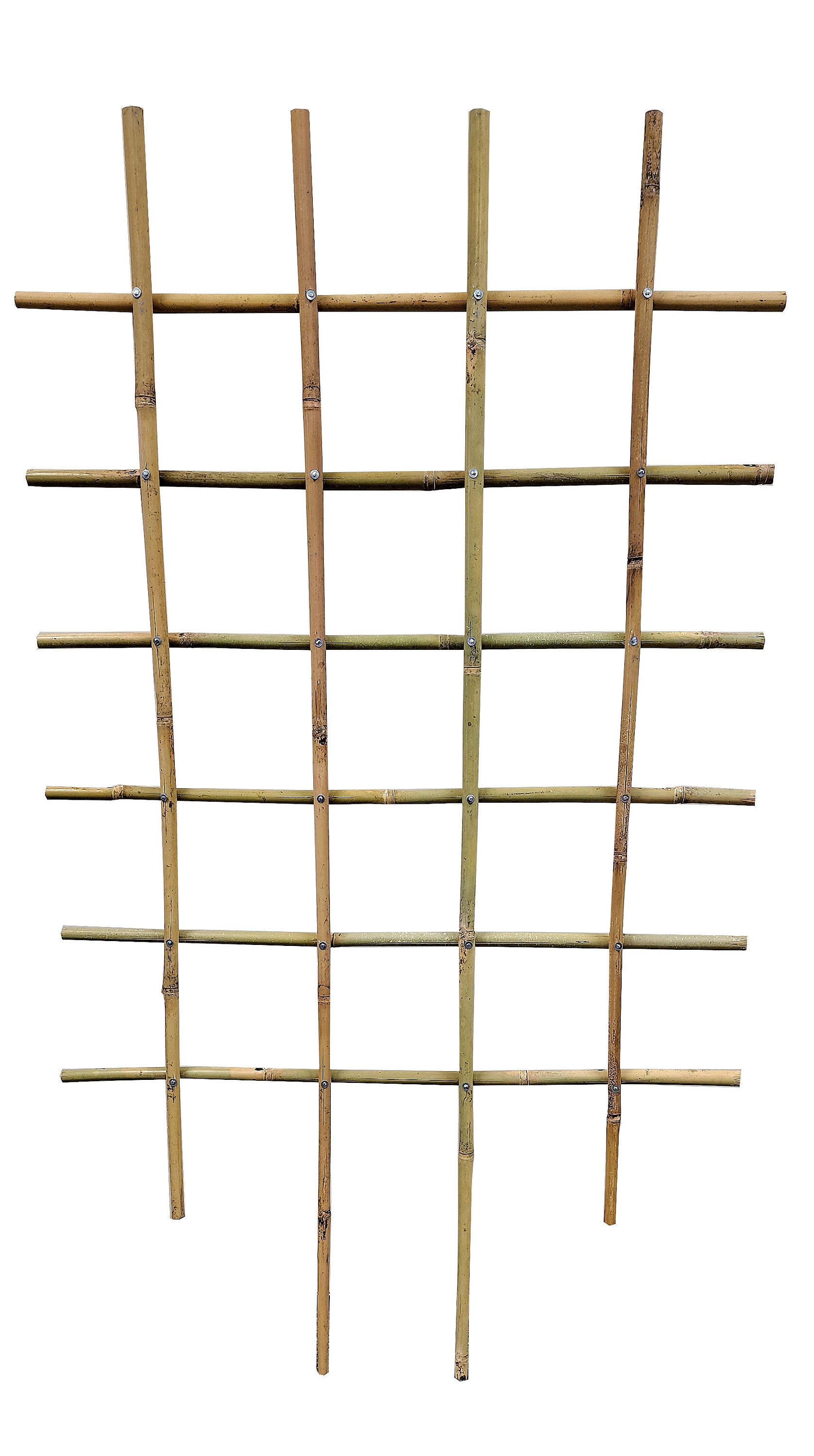 Bamboo Espalier Trellis - Etsy