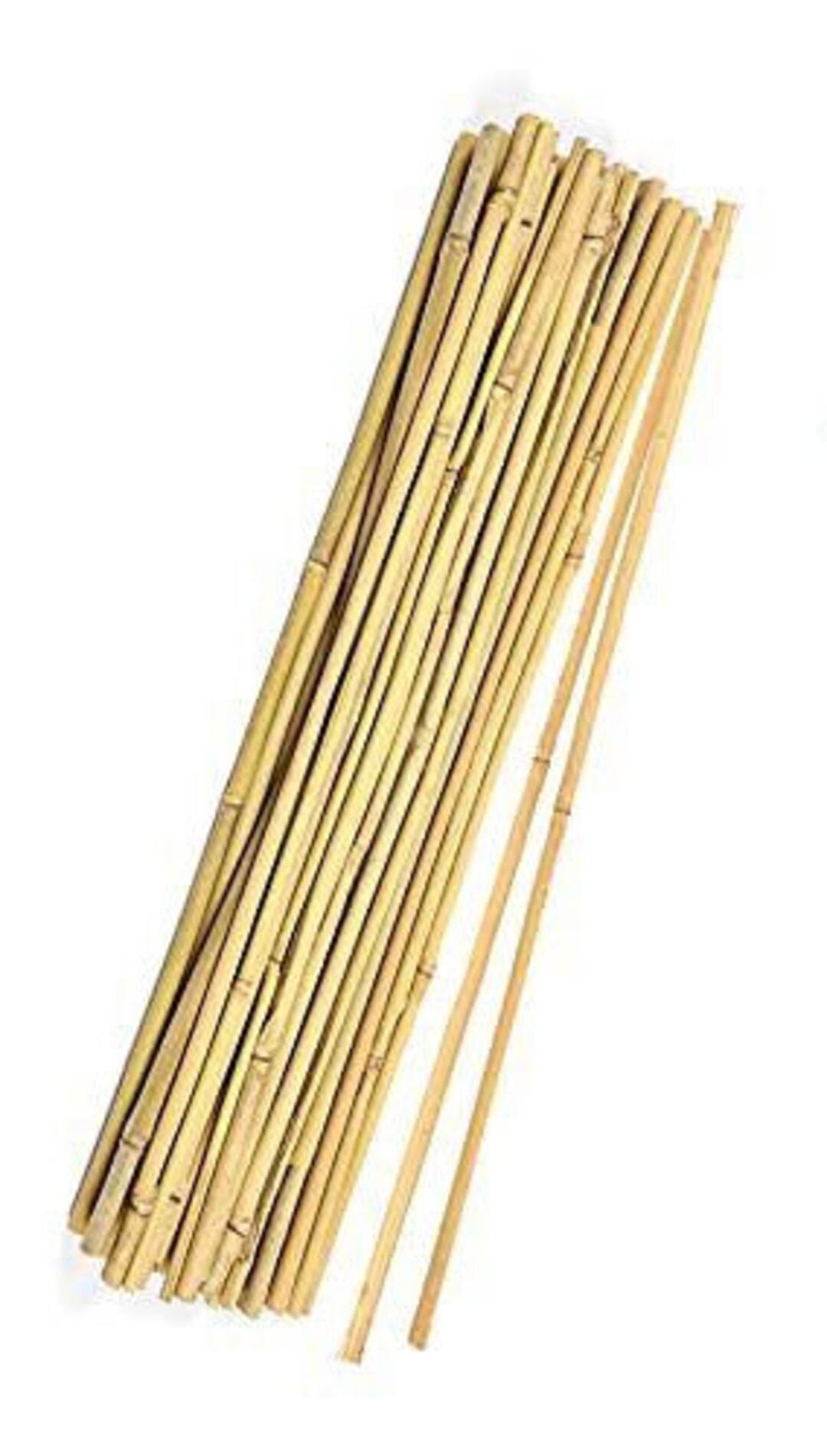 Natural Bamboo Stakes, 5 Pc. Bundle - Etsy