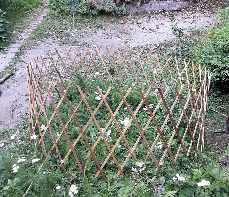 Bamboo Circular Trellis Fence - Etsy