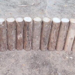 Teak Log Wood Edging, Debarked or Bark On - Etsy