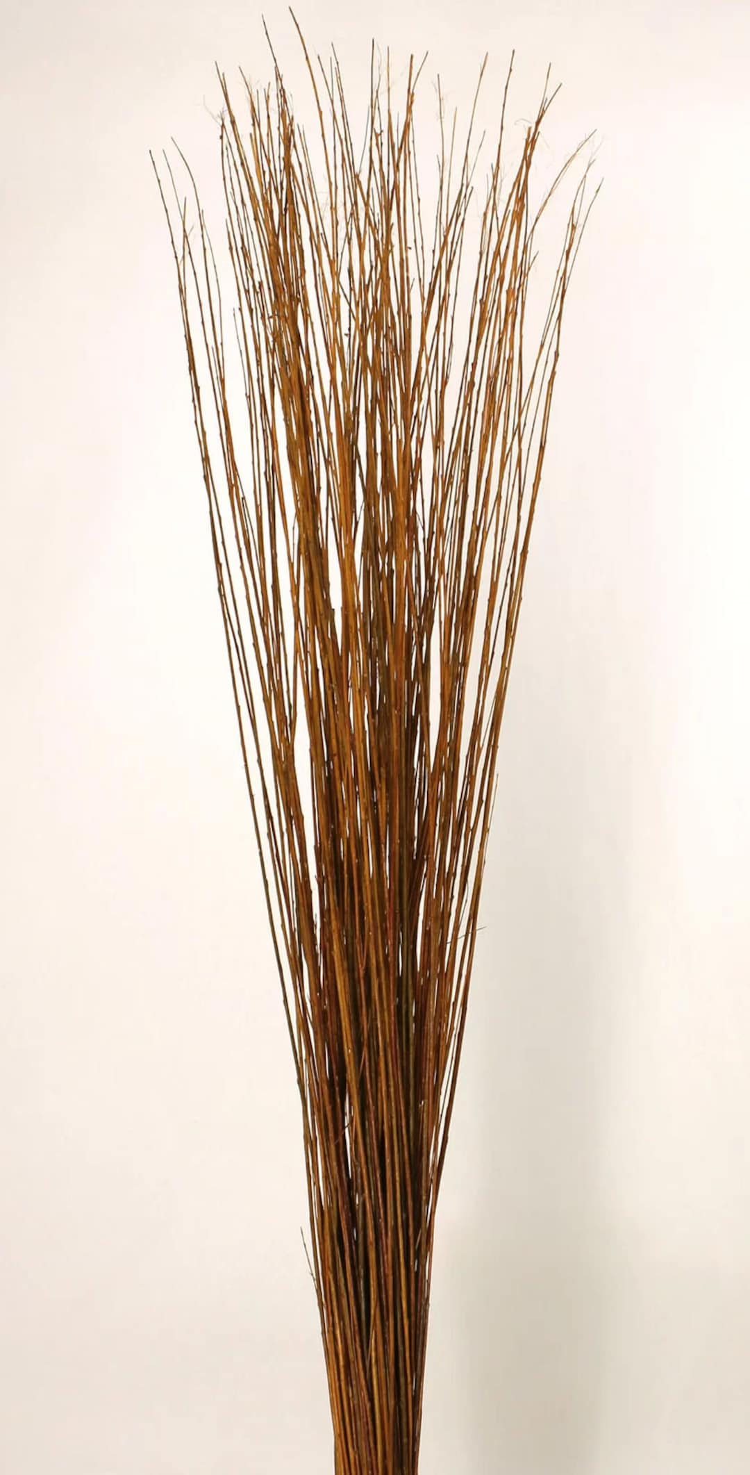 Dried Willow Branches - Etsy