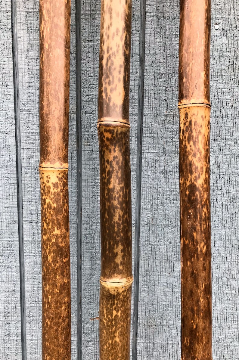 Dark Speckled Bamboo Poles - Etsy