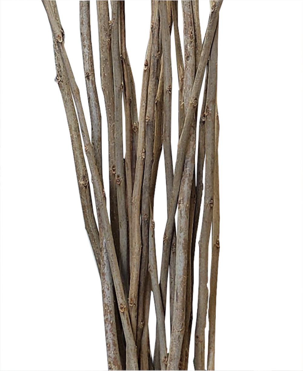 Tall Mulberry Sticks 5 Pc. Bundle: Natural Home & Wedding Decor, 47" - Etsy
