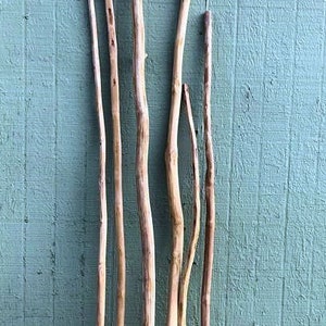 Debarked Driftwood Style Teak Log Pole - Etsy