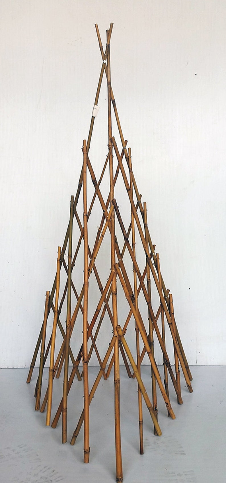 Bamboo Teepee Plant Support - Etsy