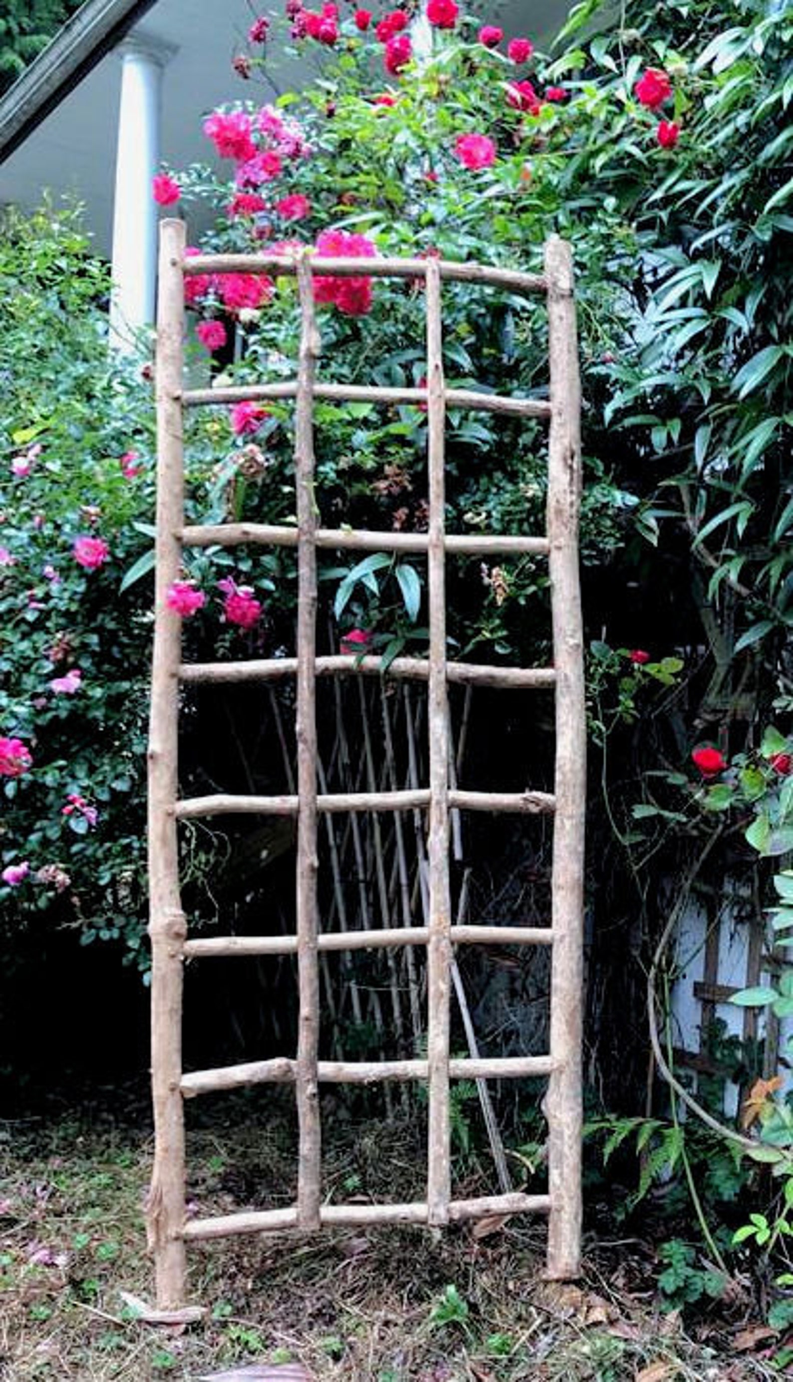 Teak Timber Log Trellis Panel - Etsy