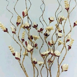 Curly Bamboo Stakes, Black and Natural Yellow, 78h X 3/8 Diameter - Etsy