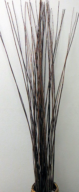 Dried Willow Branches - Etsy