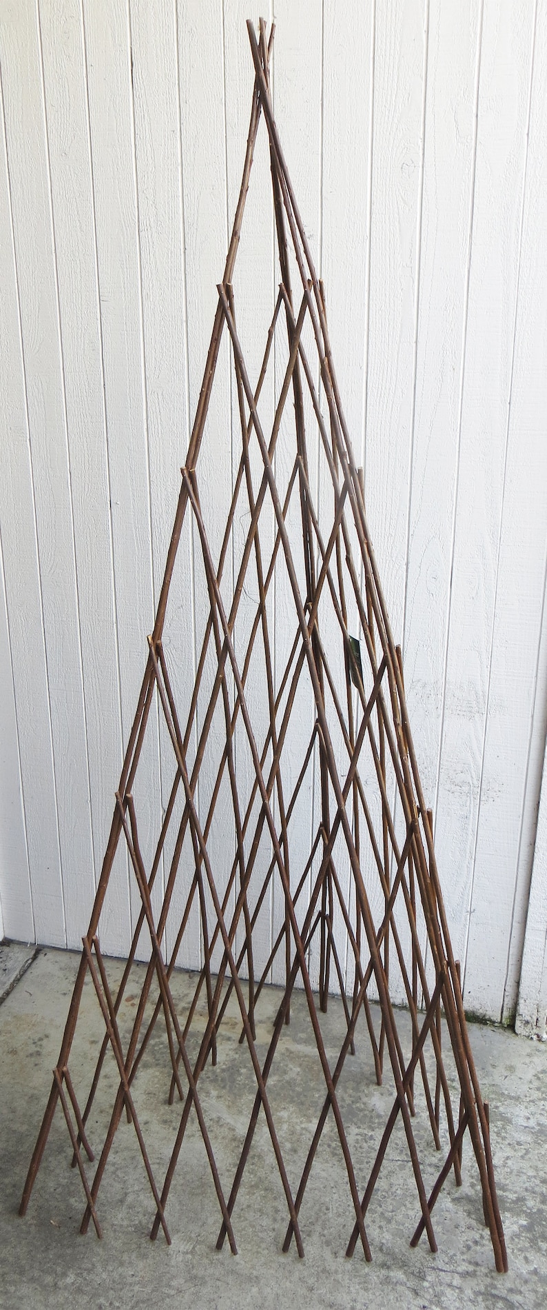 Willow Teepee Trellis, Regular Brown or Debarked Yellow - Etsy