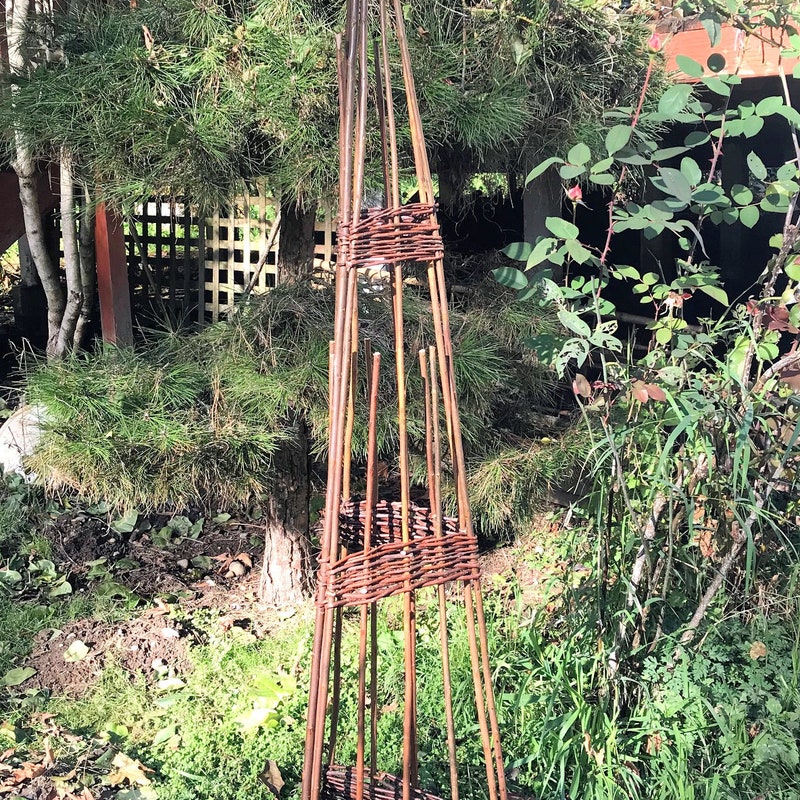 Garden Obelisk - Etsy