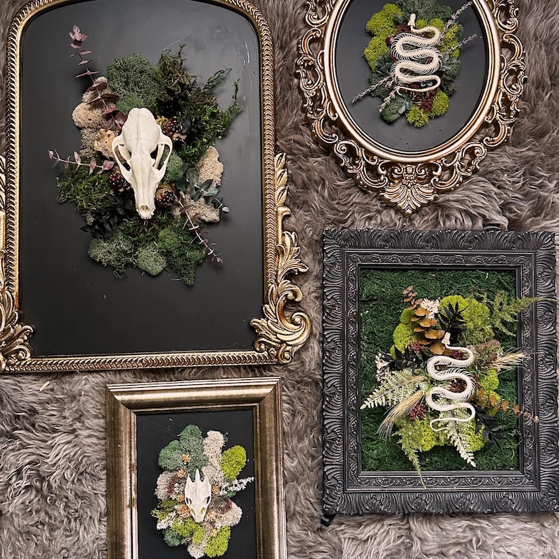 Animal Skull Witchy - Etsy