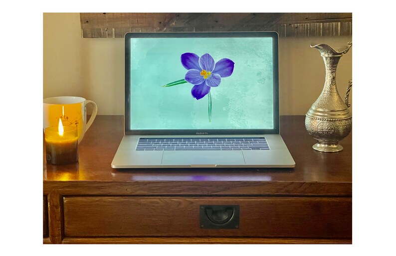 Desktop Wallpaper - Digital Wallpaper - Spring Flower - Etsy