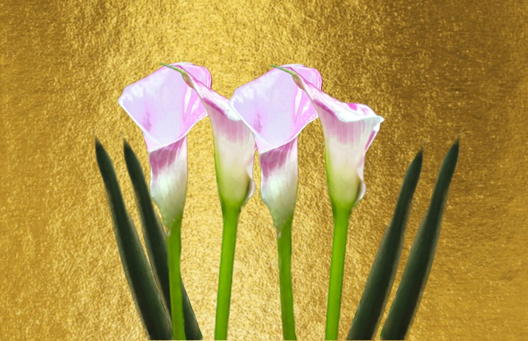 Desktop Wallpaper - Digital Wallpaper - Spring Flowers - Etsy