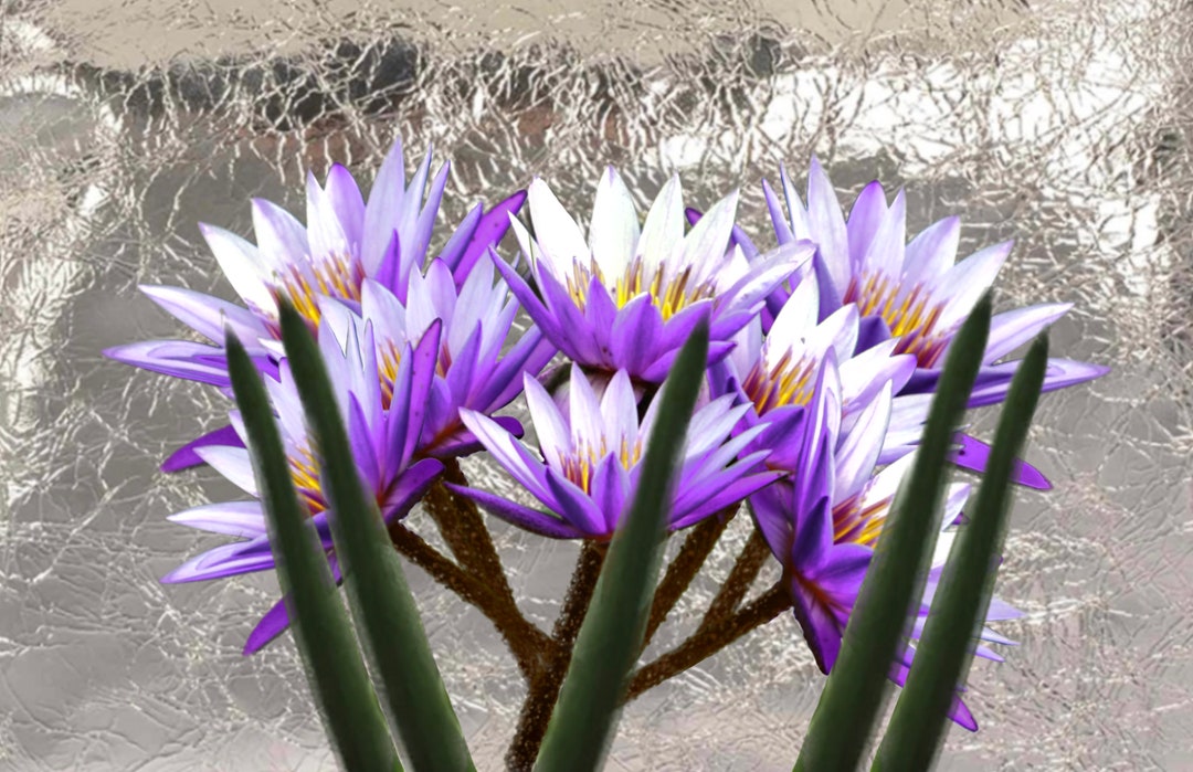 Desktop Wallpaper - Digital Wallpaper - Spring Flowers - Etsy