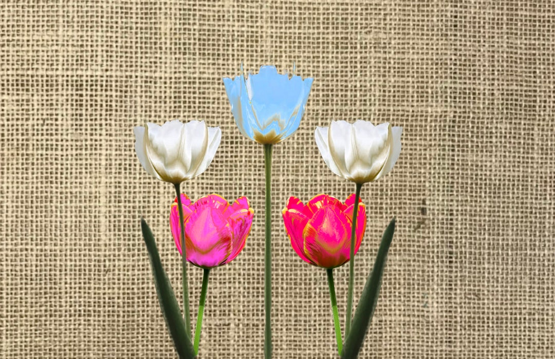 Desktop Wallpaper - Digital Wallpaper - Spring Flowers - Etsy